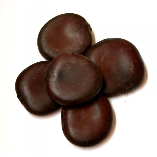 African Dream Herb (Entada rheedii) :: mysticshop.sk